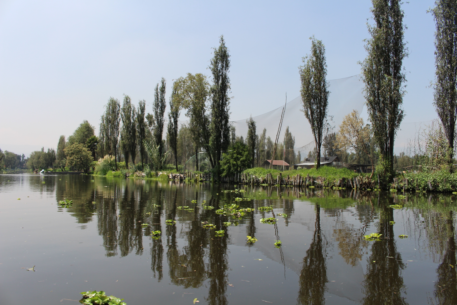 La chinampa: un Sistema de Patrimonio Agrícola Mundial - Volupt Art