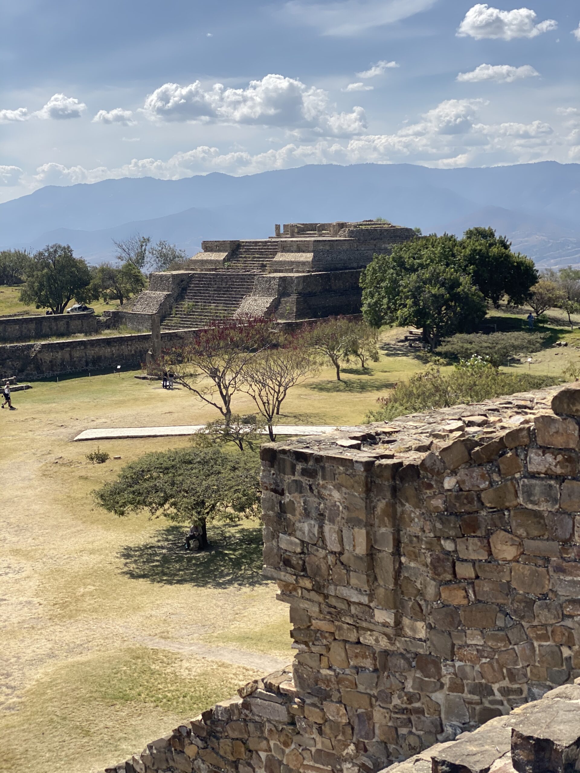 IMG_2568 - Volupt Art